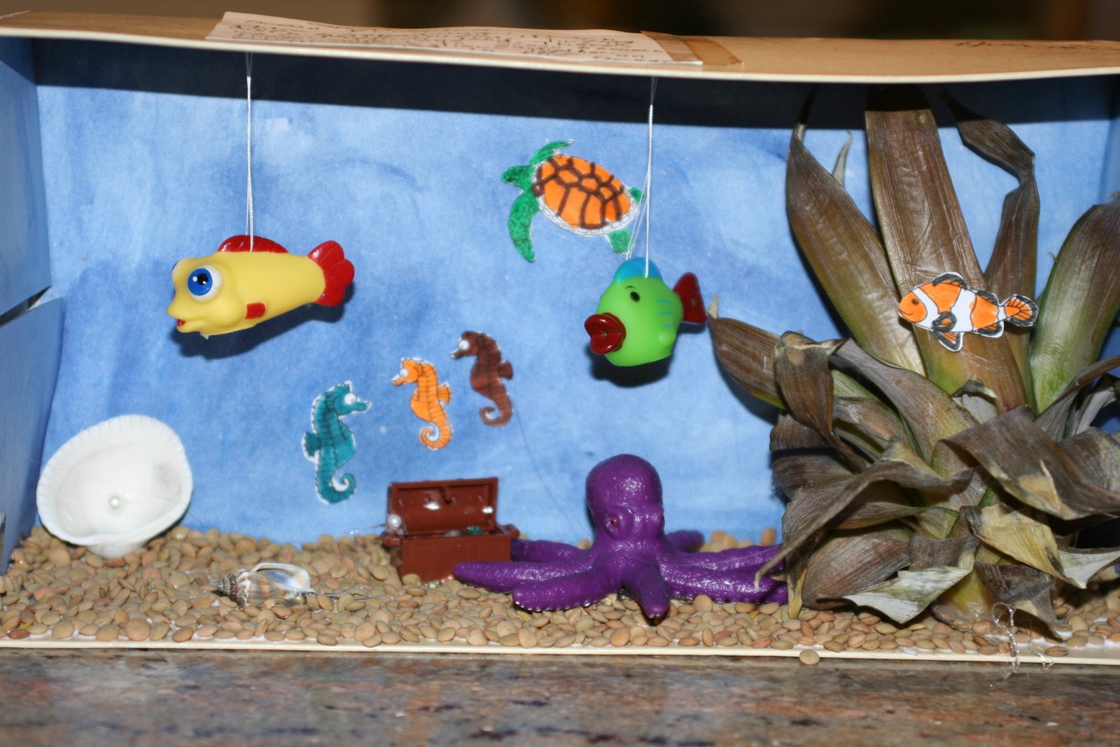 Just Plain Ivy: Ocean Habitat Diorama
