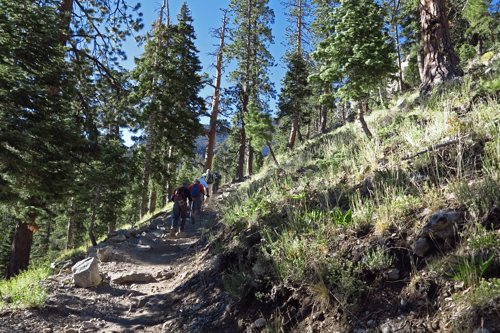Around the Bend Friends ®: Griffith Peak via South Loop - 6/23/13