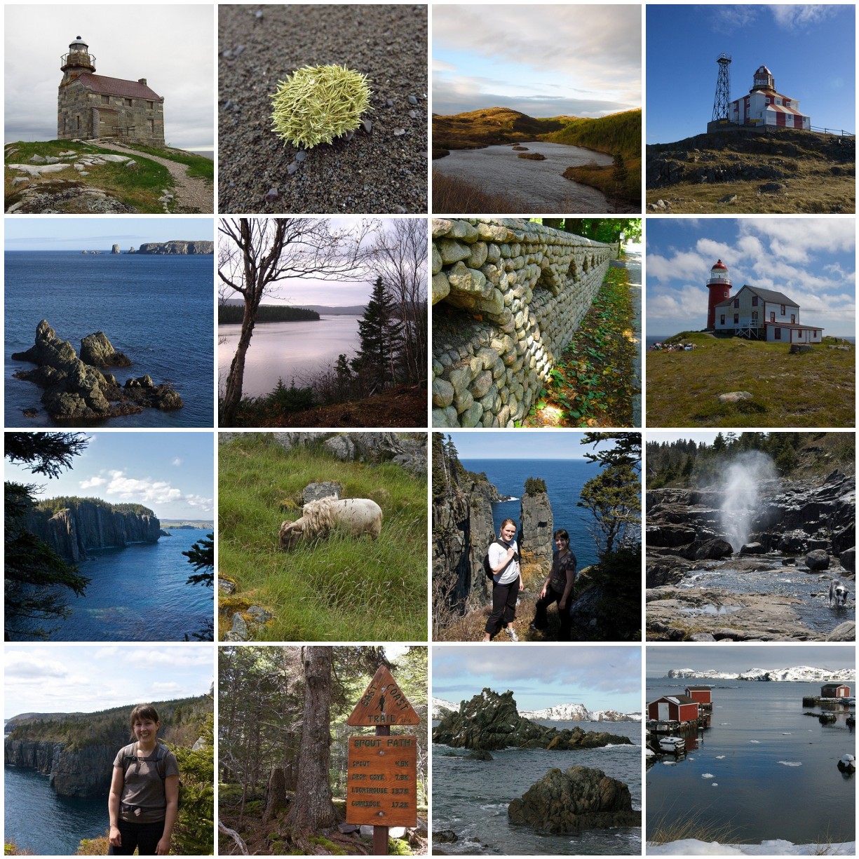 runty mouse: Souvenir of Newfoundland