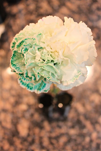 love is in the details: Green and Purple Carnation Experiment