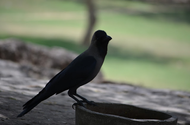 Hello There Machas,And other Fisherwomen! =): 2012