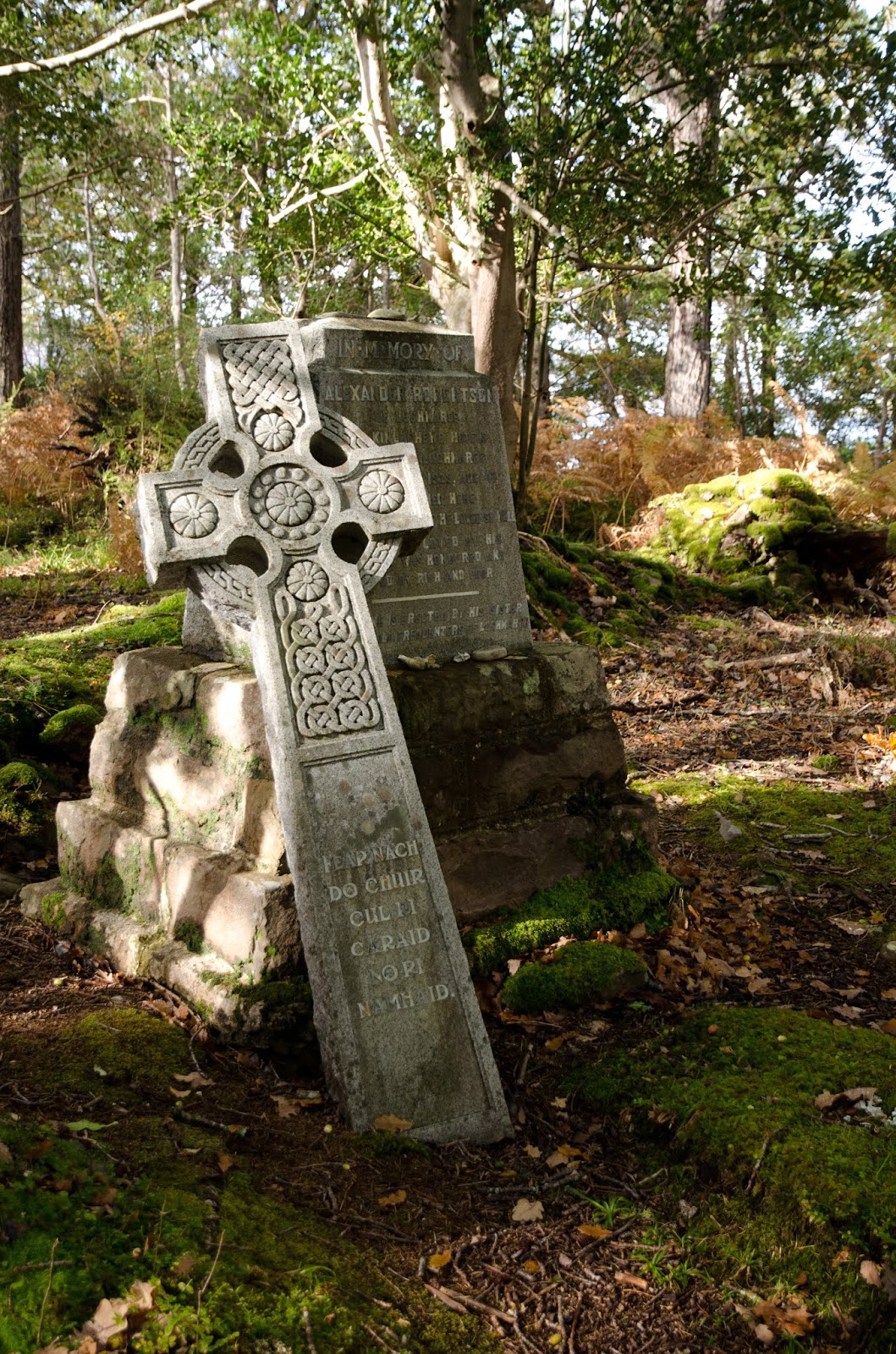 Mountain and Sea Scotland: The penny drops on Isle Maree