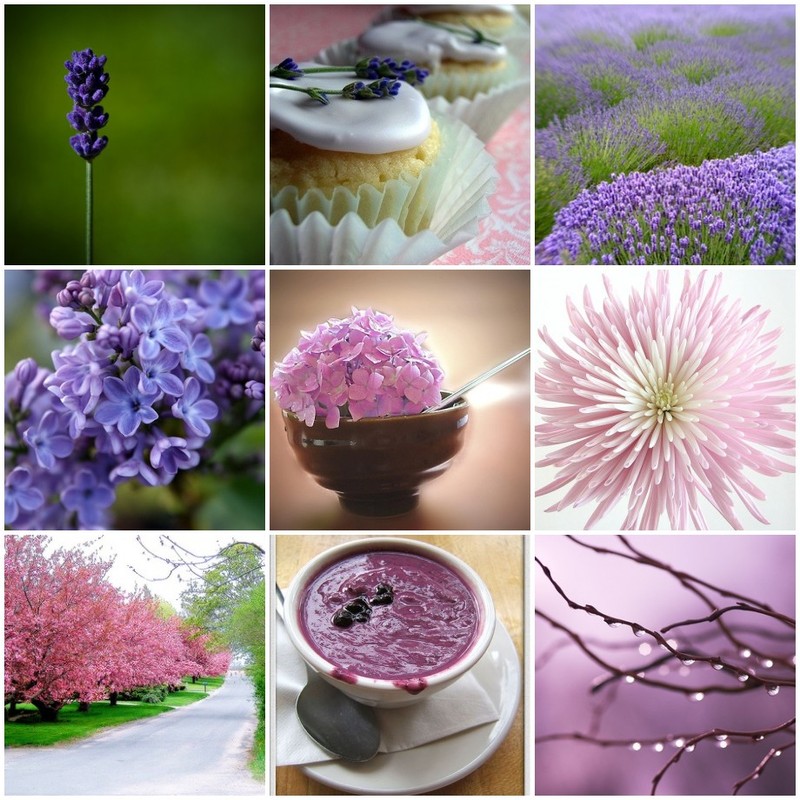 lilsparklies: Lovely Lavender