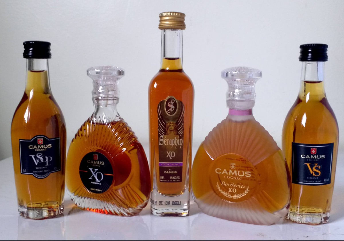 Tipos de Bebidas Alcoólicas - Fox Press™