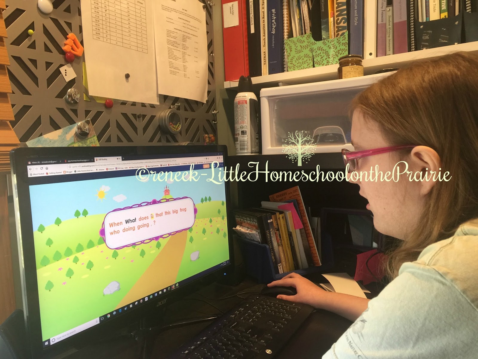 Little Homeschool on the Prairie: ASD Reading Review