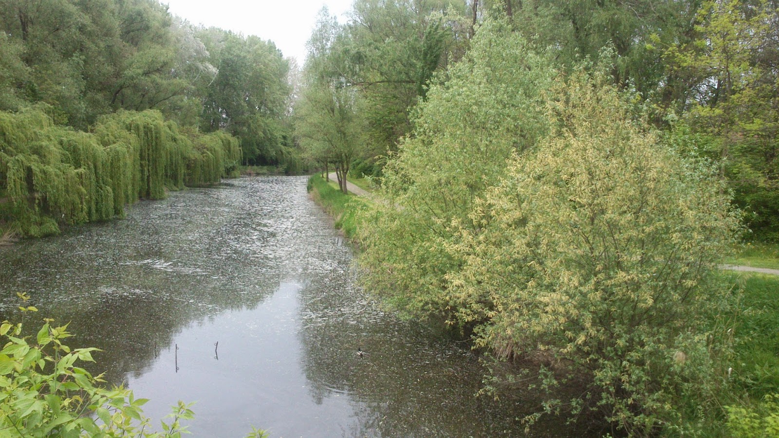 Aventura en Szeged: Mi top 10 de Szeged: 1 - Holt-Maros