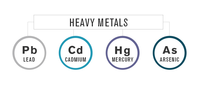 The Natural Way to Better Health: Heavy Metals & Testing