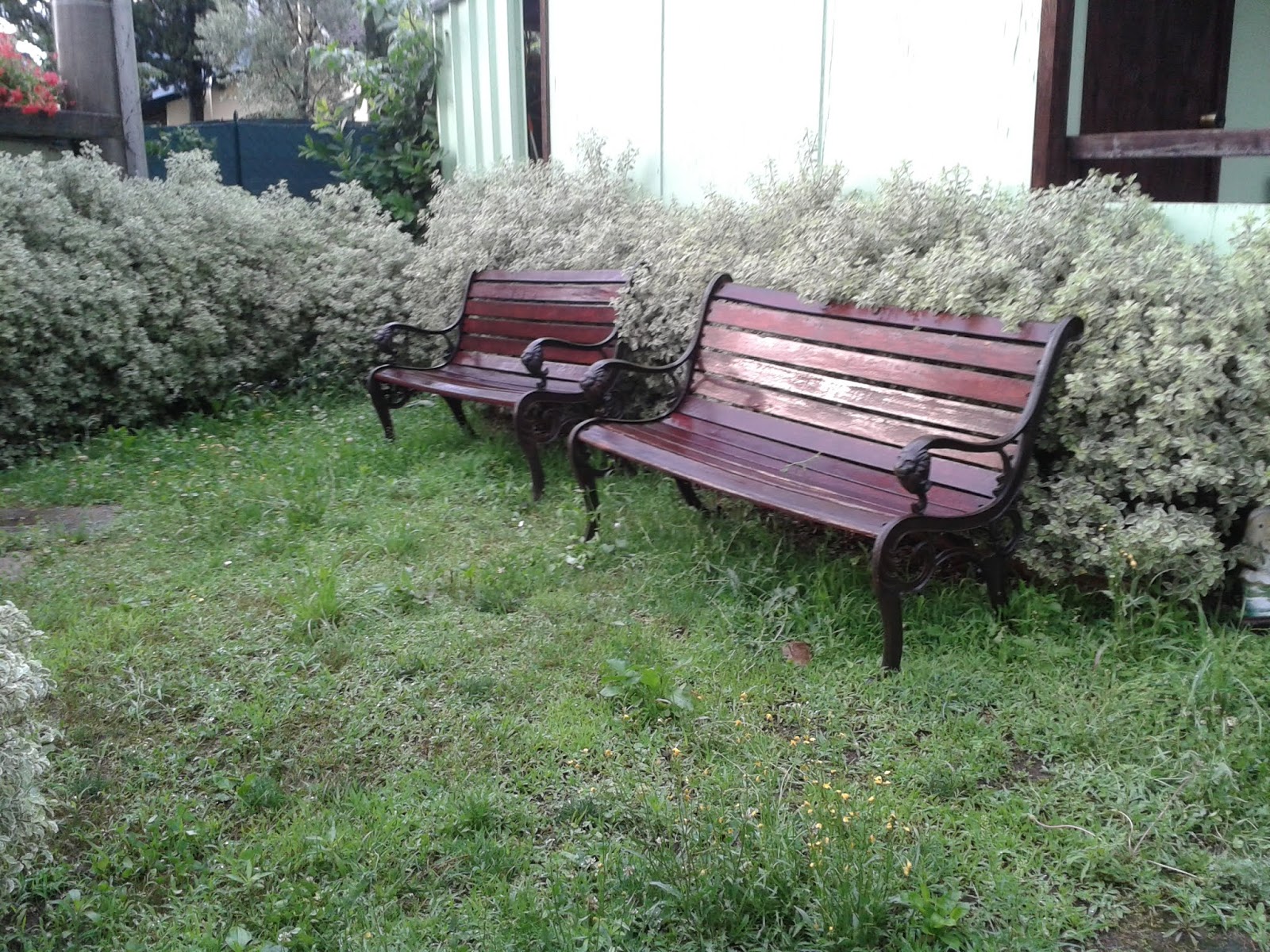 benchsite: A garden of benchly delights