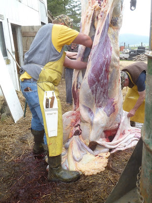 Rural Revolution: Butchering our bull