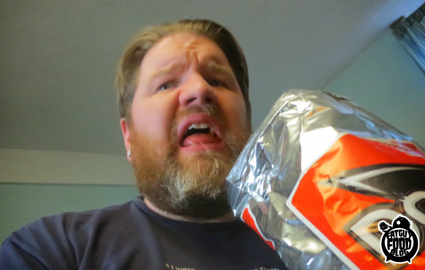 FATGUYFOODBLOG: New Doritos Jacked Test Flavors: 404, 855, 2653