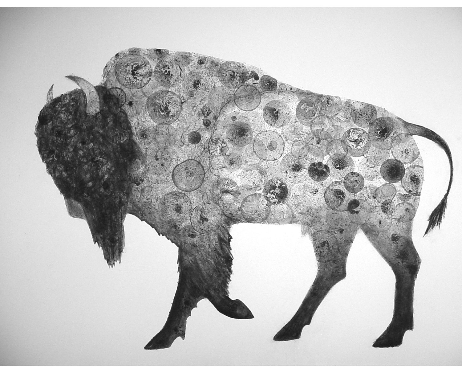 VIZArt: Bison II (ink bubble drawing)