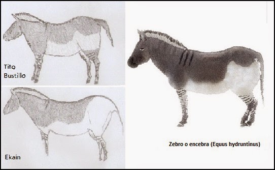 TIERRA SYLVANA: ÉQUIDOS (II): EL ZEBRO O ENCEBRA (EQUUS HYDRUNTINUS).