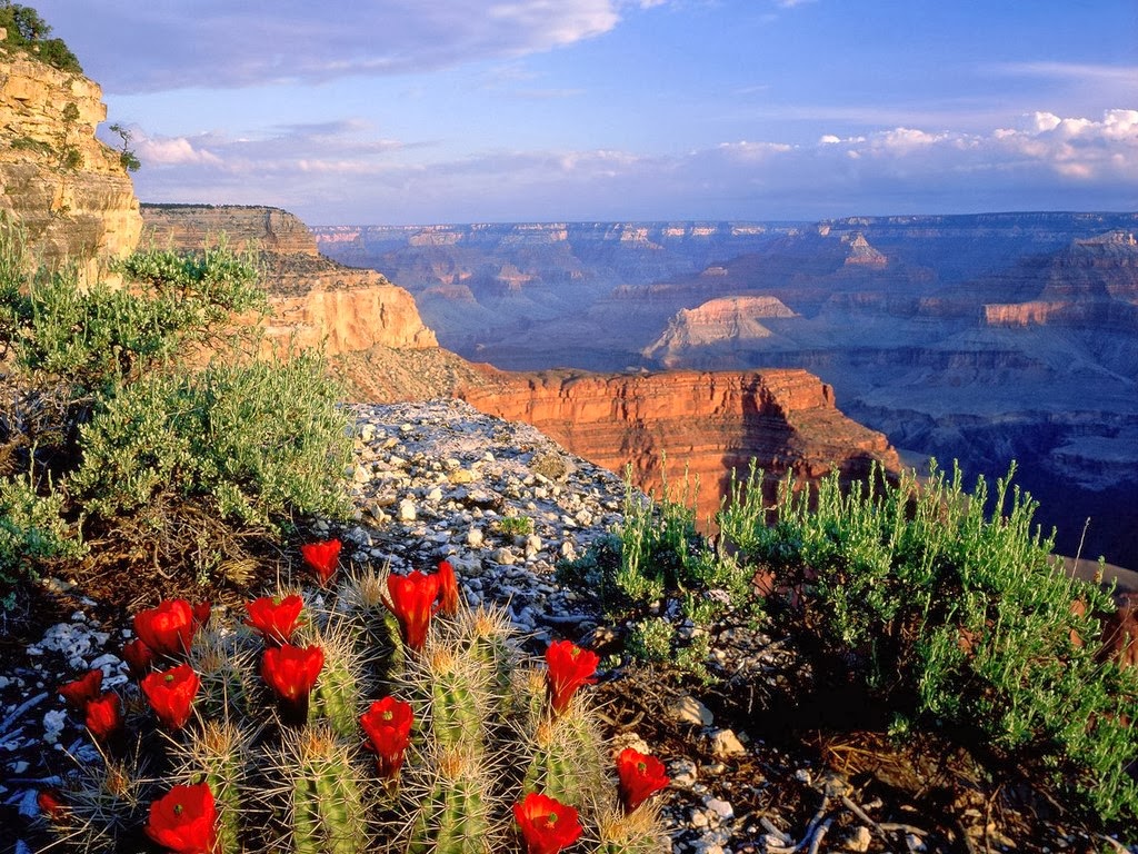 Dünya'nın 7 Harikasından Biri Büyük Kanyon Ulusal Parkı | Galaksi ...