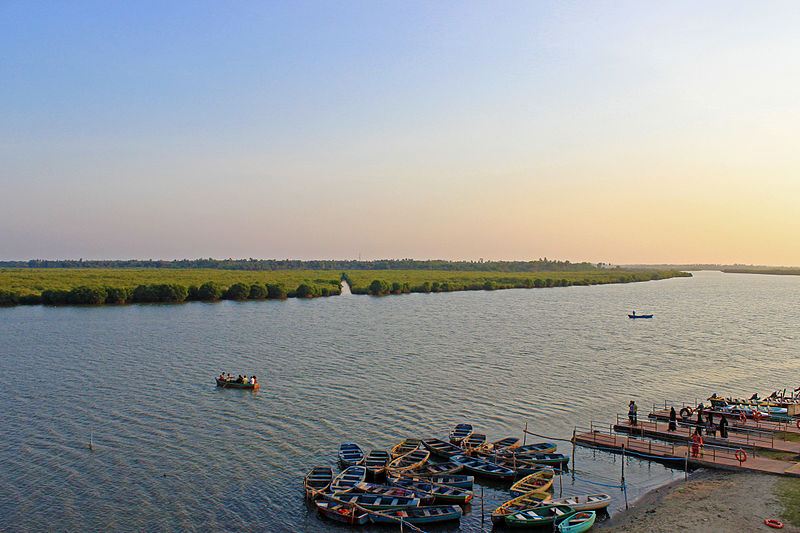 Tamilnadu Tourism: PICHAVARAM