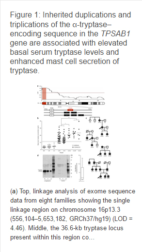 GenÉticaMente InCoRrecta: 2016
