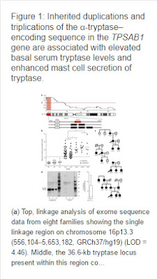 GenÉticaMente InCoRrecta: 2016