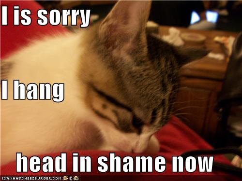 From Beginning to End...and Back Again: I Hang My Head in Shame