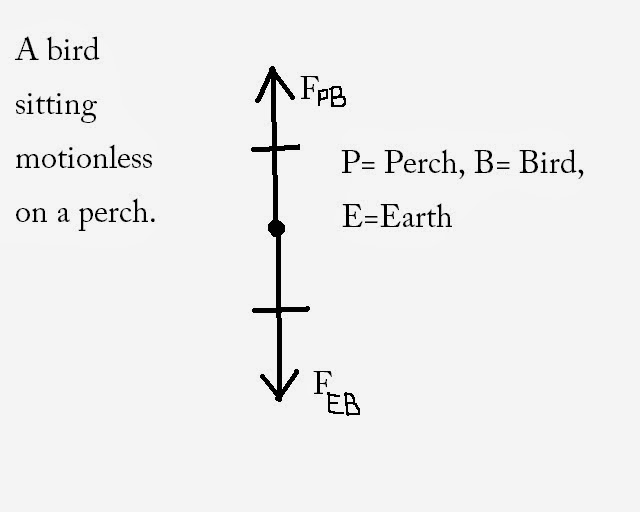 The World of Physics!: Force Diagrams