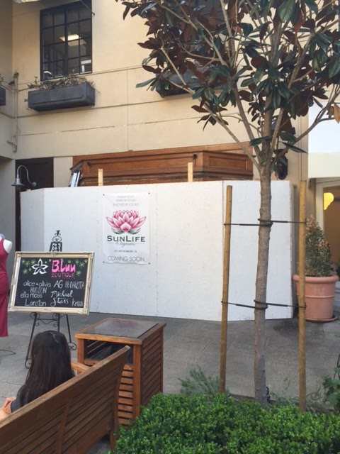 Fro-Yo Girl Speaks: Future Froyo Shop Picture: SunLife Organics
