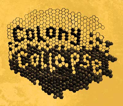 HONEY BEES: AN ADVENTURE: New Research about CCD (Colony Colapse Disorder)