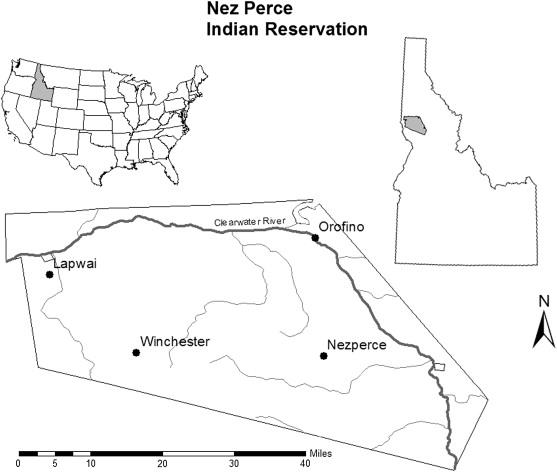 Nez Perce & Development of the Appaloosa: Timeline