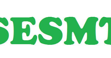 RRS Segurança do Trabalho: SESMT E SUA COMPOSIÇÃO