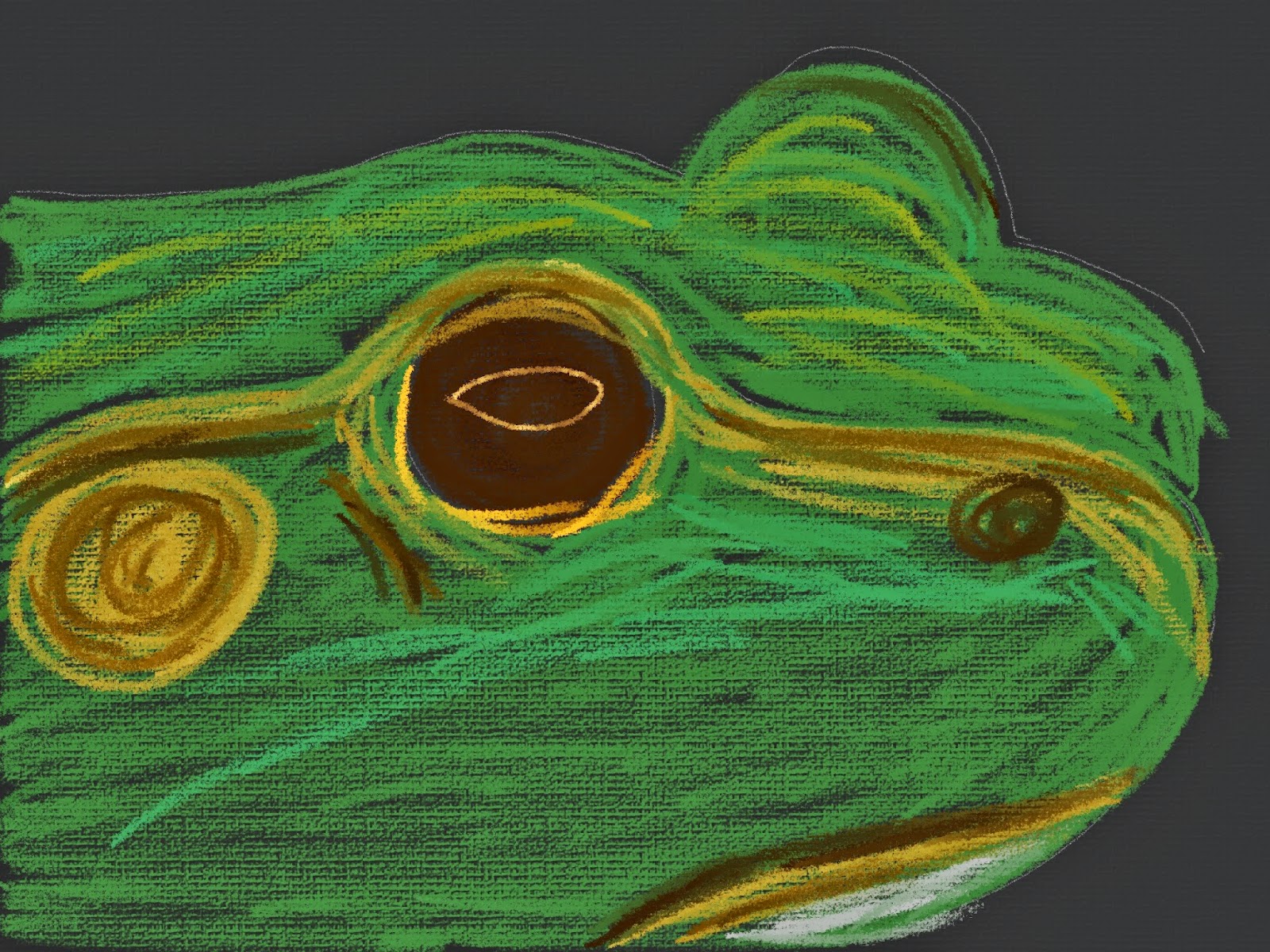 Maxime van den Berg - Beeldende Vorming: 6: Beeldaspecten