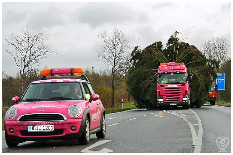 SCANIA: Scania R420 highline ''X-mas tree transport'' Think Pink