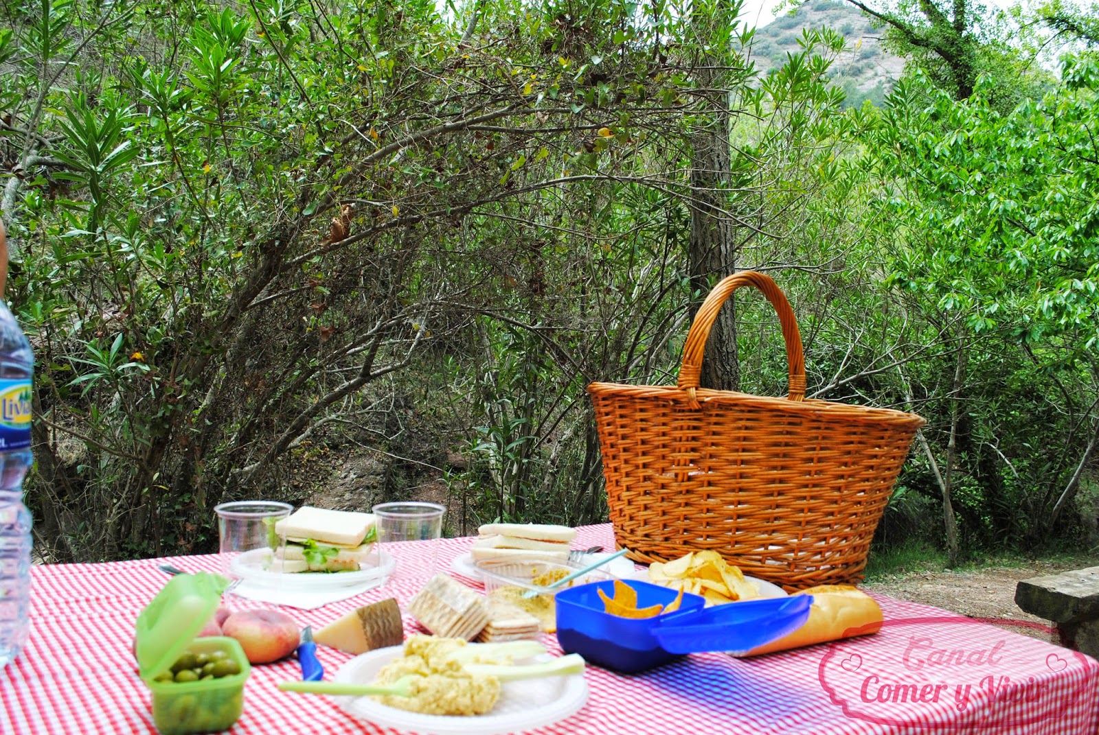 Comer y Vivir Bien: Ideas para un día de picnic