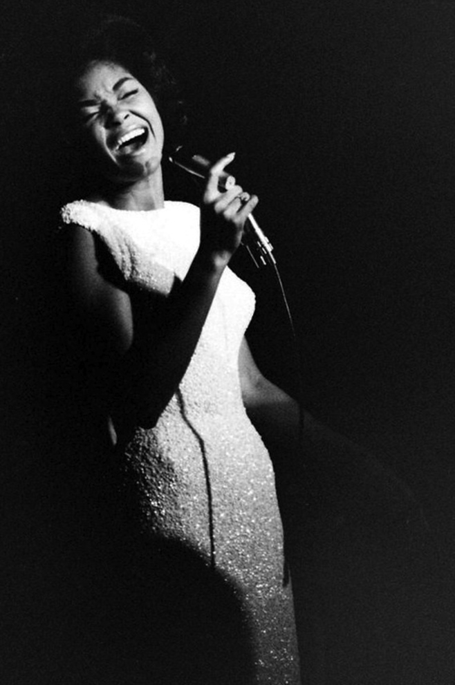 PearlModern: Holiday Chaos and the Soothing Sounds of Songbirds