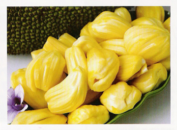 SFGEMS: The one about the nangka (jackfruit).