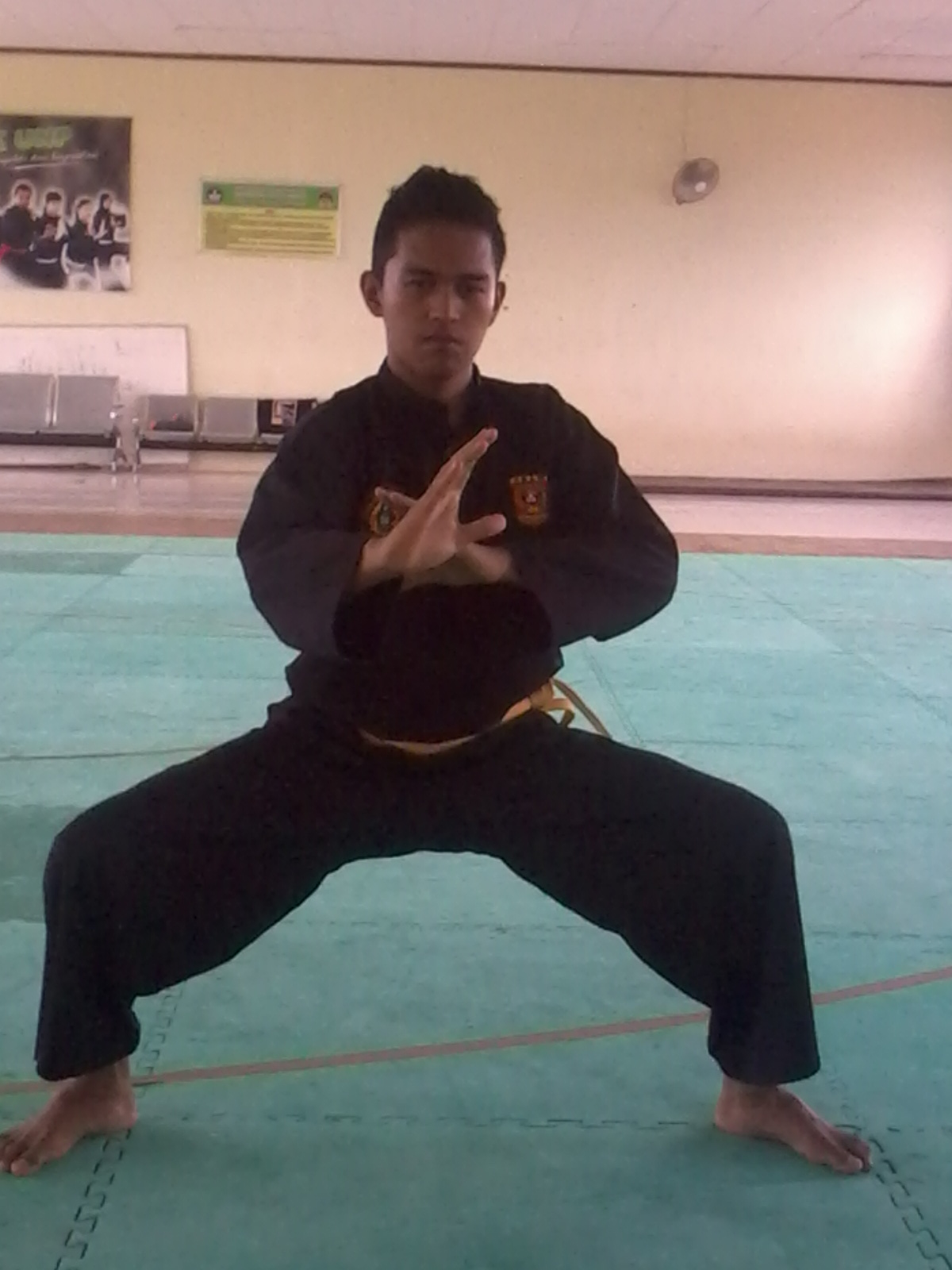 pencak silat: Kuda-kuda silat