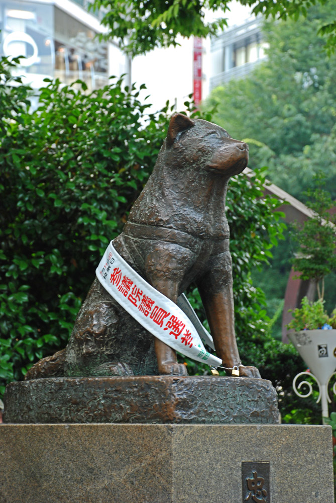 Un mundo detrás de letras: Hachiko, el perro que esperaba - Luis Prats
