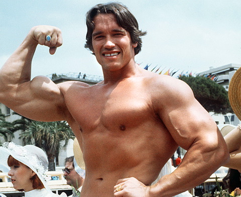 Sports Beauty: Arnold Alois Schwarzenegger