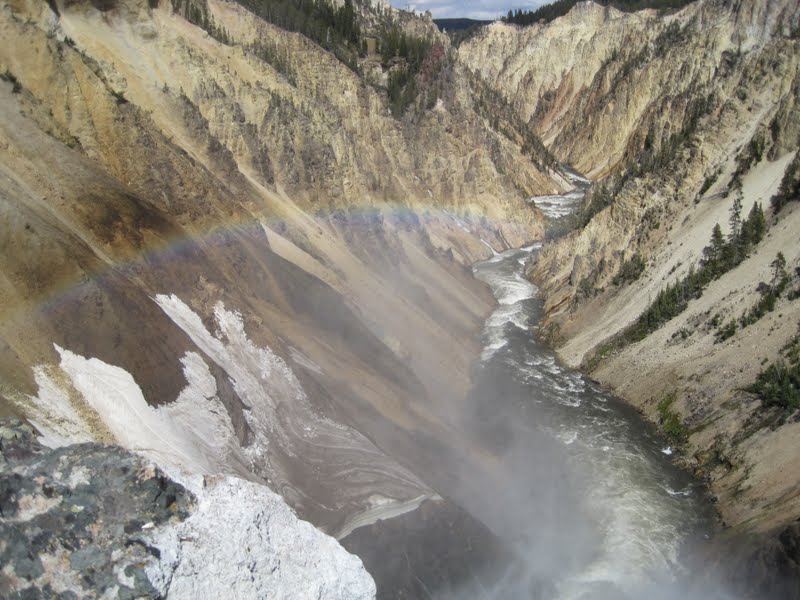 The Scallywagon: YOU SKIN GRIZ', PILGRIM? Yellowstone National Park