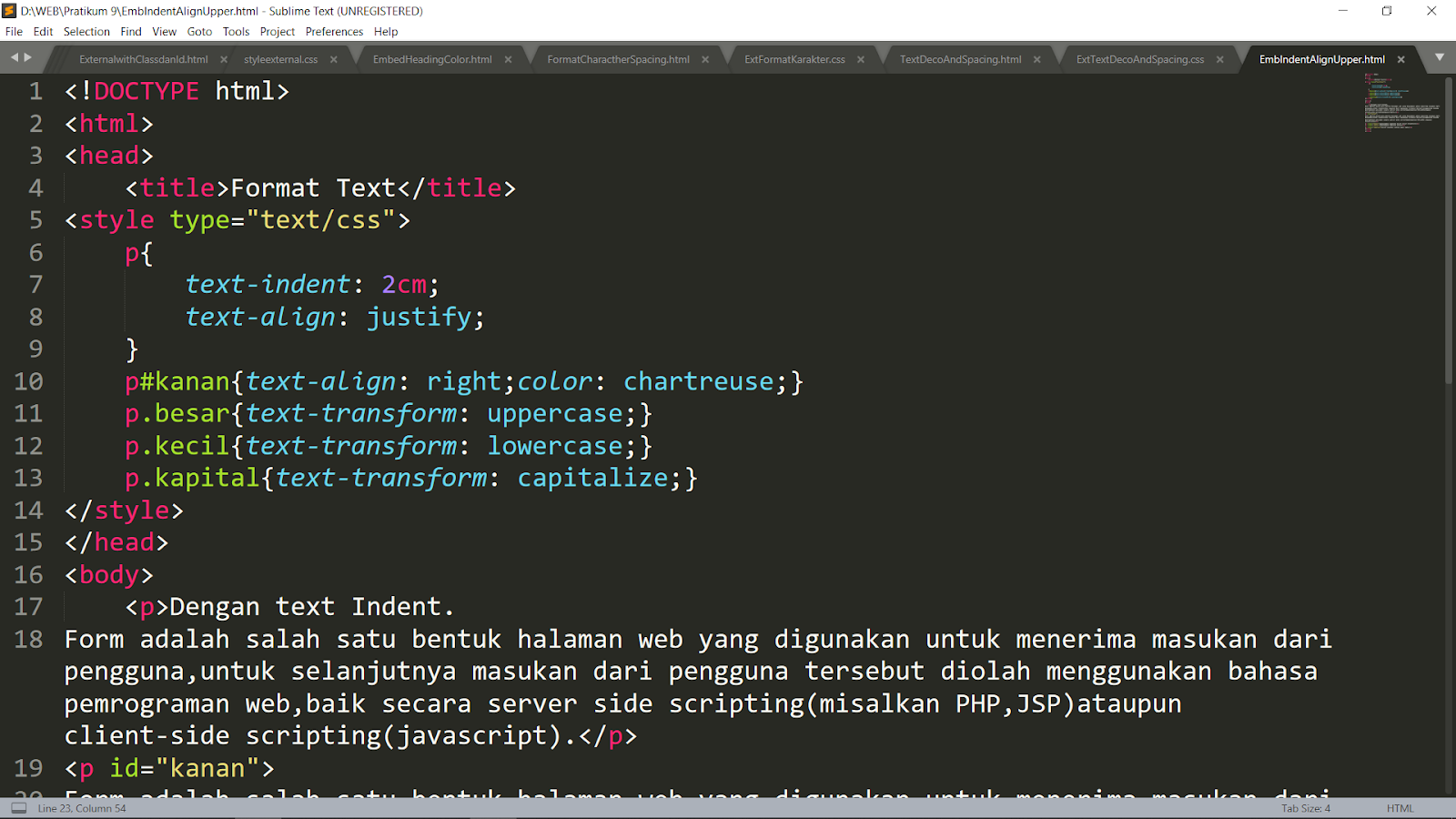 Contoh dari Casacading Style Sheet (CSS) - Serba Serbi Programming