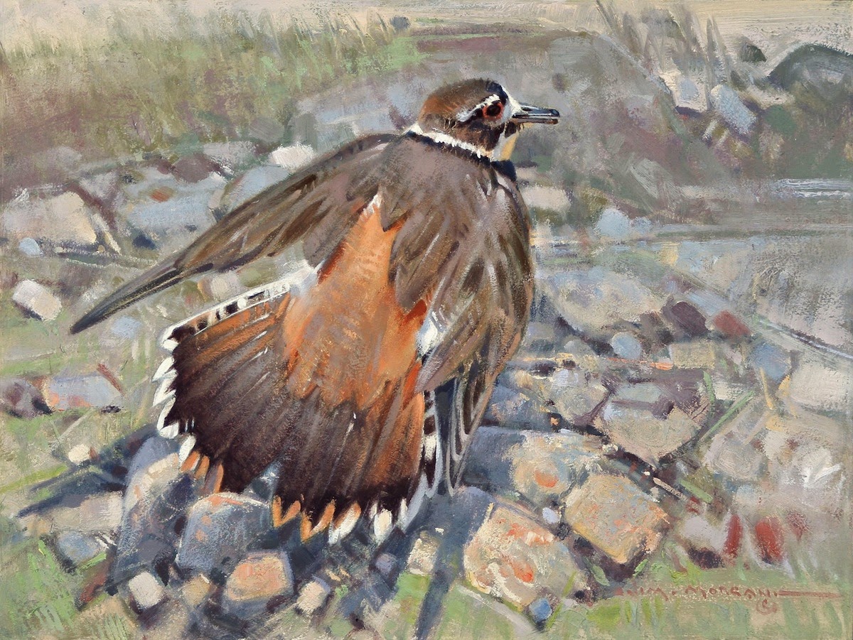 Jim Morgan Art: Current Works