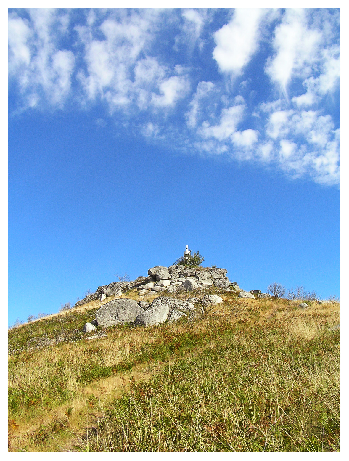 A Casa da Vidazinha: Uma Aboboreira com Amoras Silvestres
