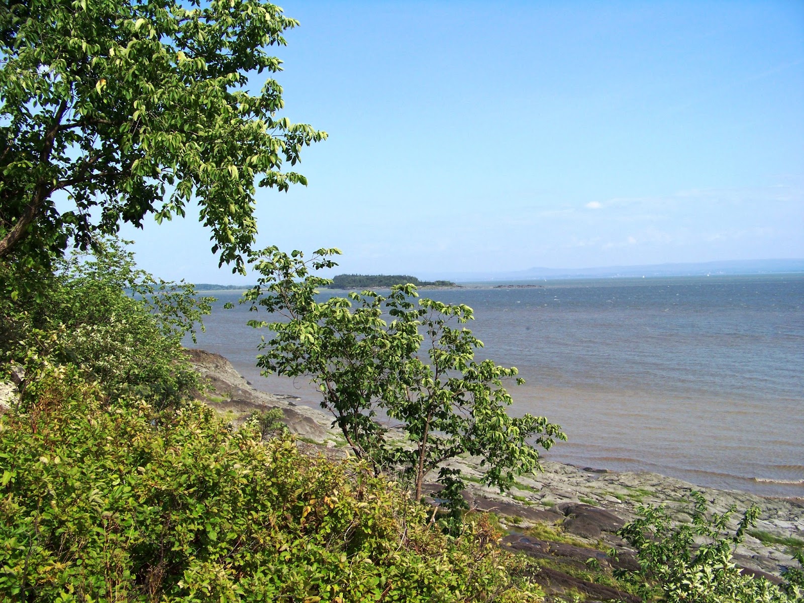 The BigLooLaa: Grosse Ile: lessons in migration