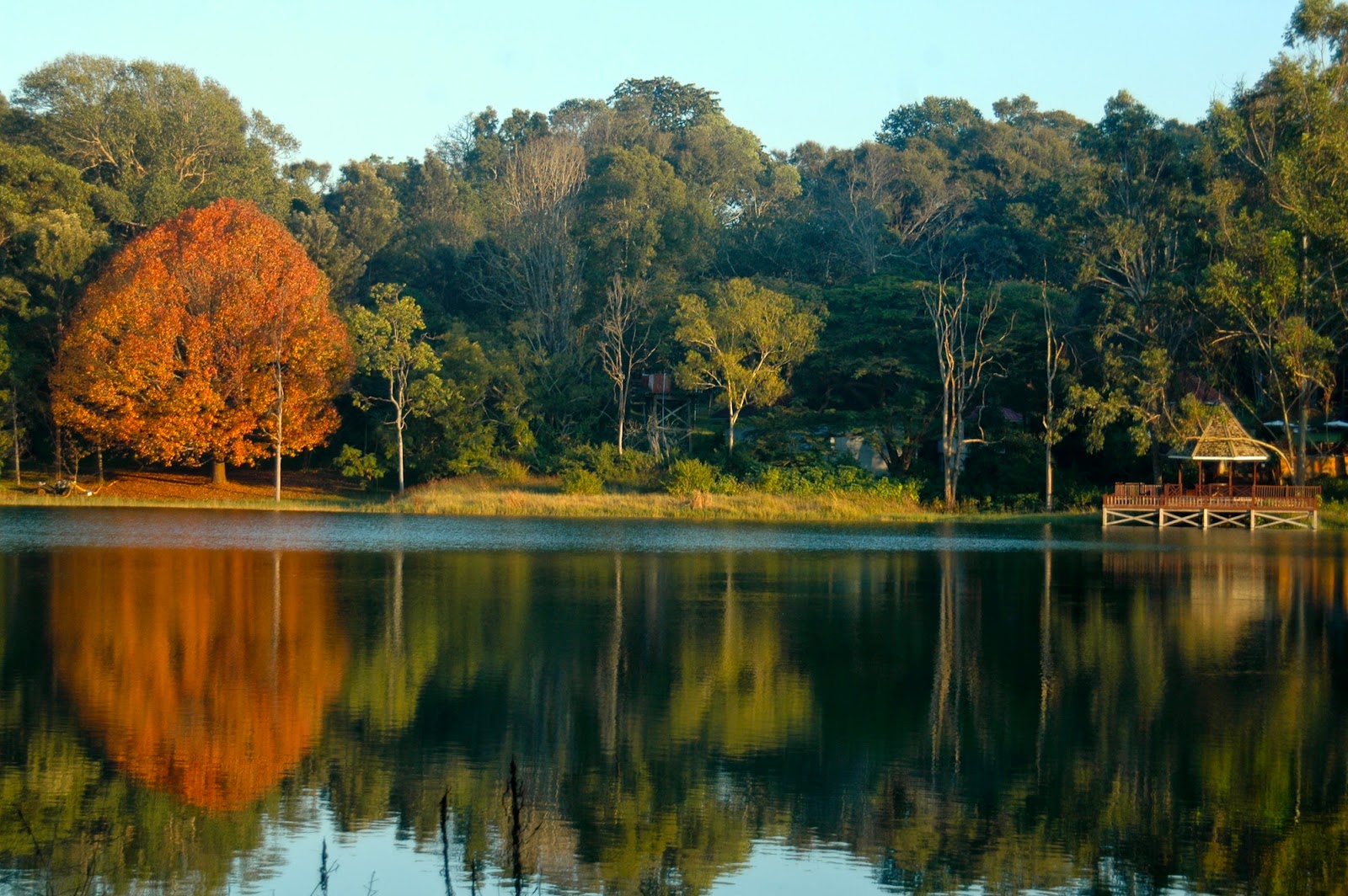 Black Eagle Flights: The official Page of Jim Goodman's Travel Writing ...