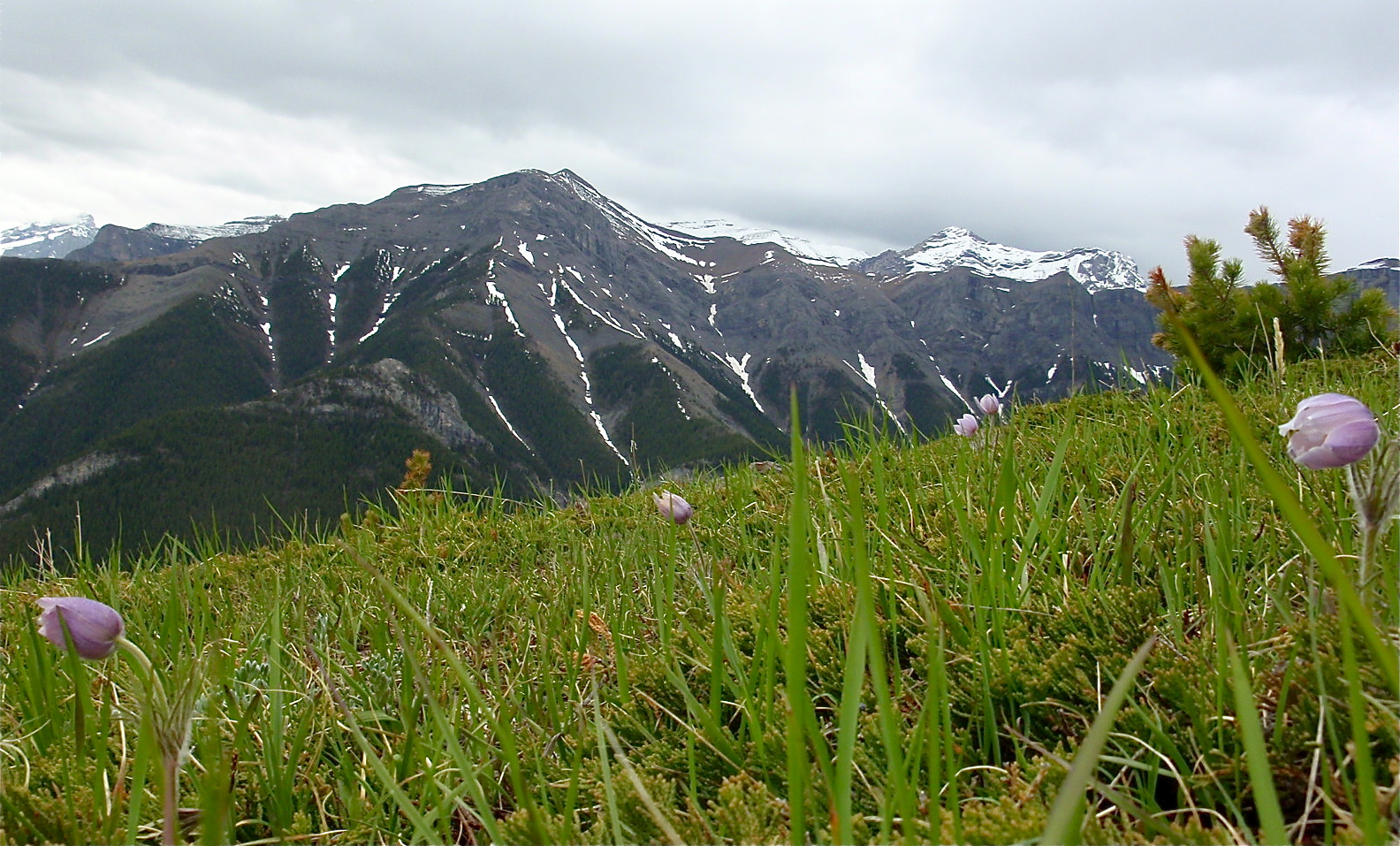 Making Waves: EXasperation at EXshaw