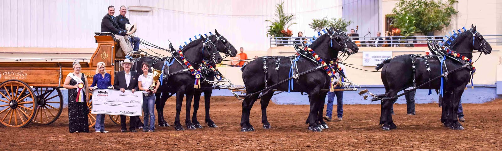Eaglesfield Percherons: Tandem Driving Drafts