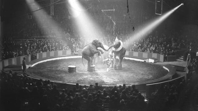 Interesting Vintage Circus Photos From Between the 1930s and 1950s ...
