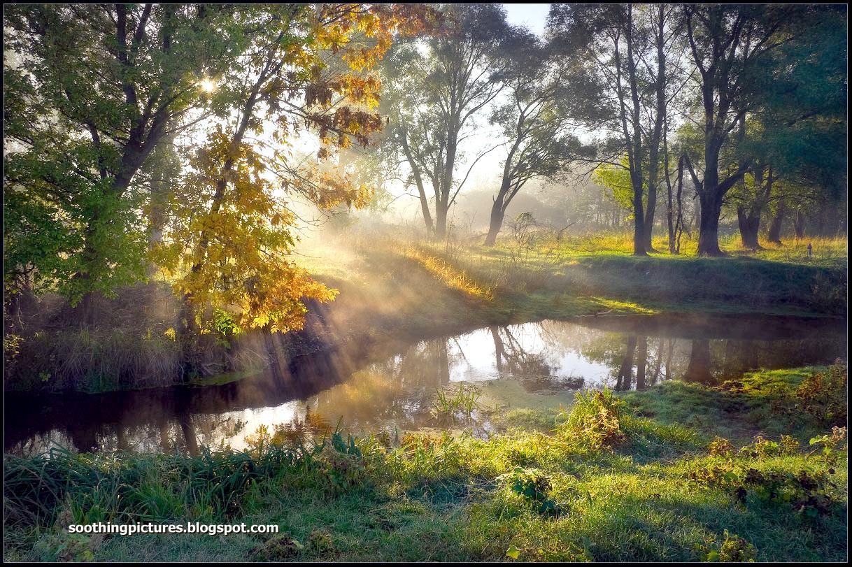 Soothing Peace Of Mind Nature Pictures Peace Of Mind Pictures
