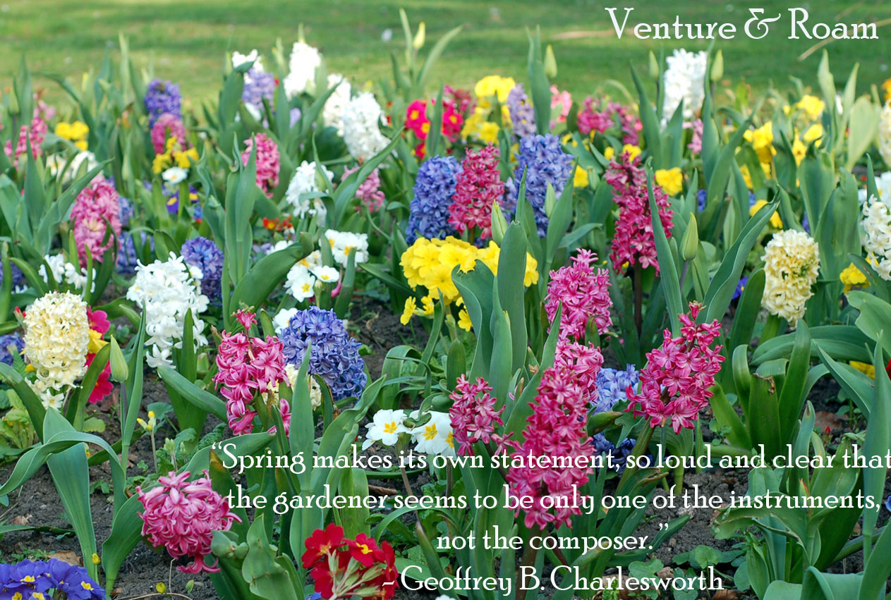 Quotes About Springtime. QuotesGram