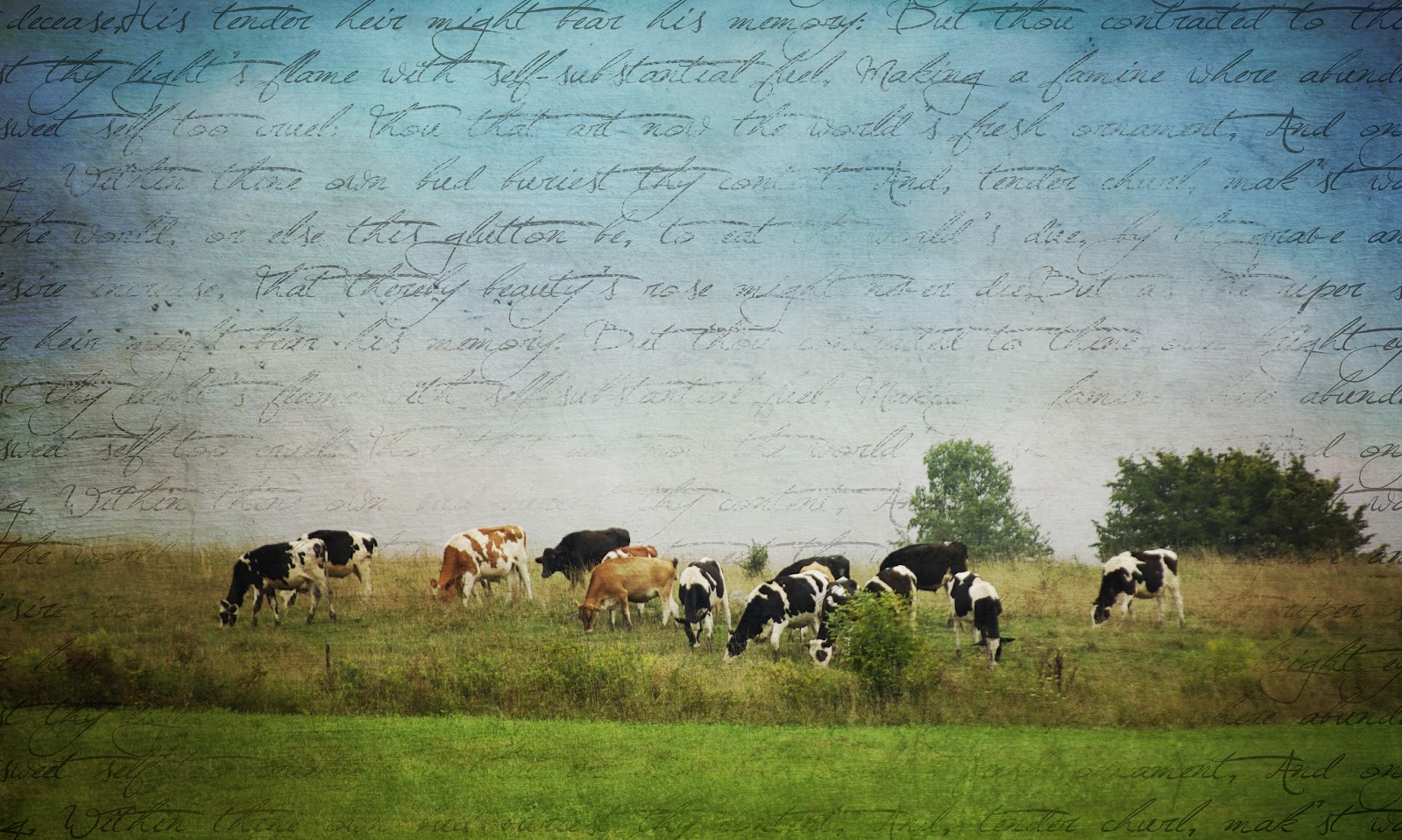 kjhp photography: rural textures ~ willsboro ny