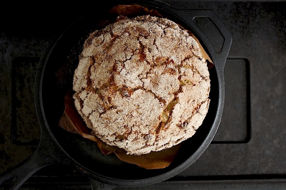 Tartine Bread Experiment: Sidebar Sunday: Happy Accident 100% Sprouted Rye