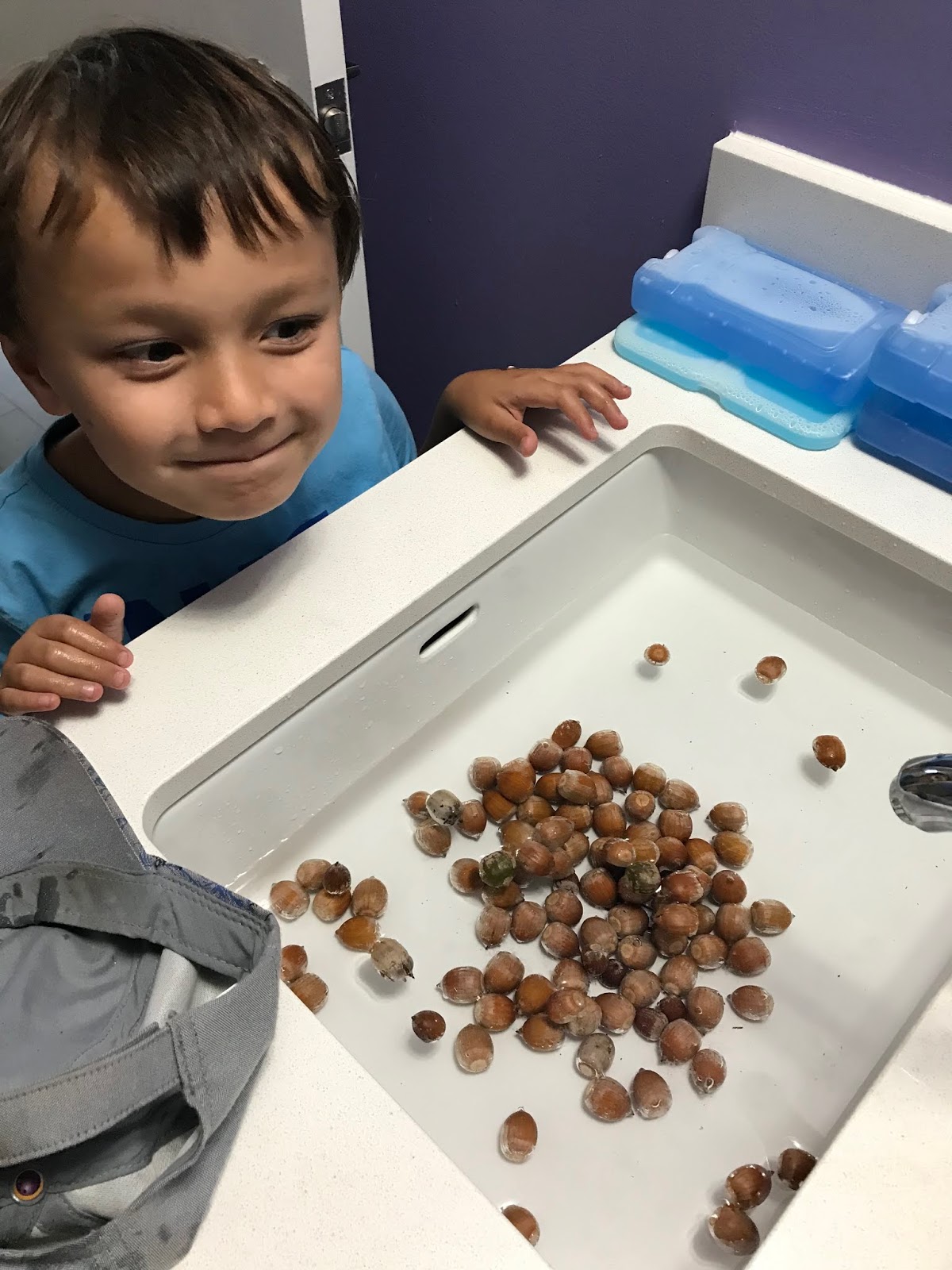 Once upon a cook: How to make acorn flour