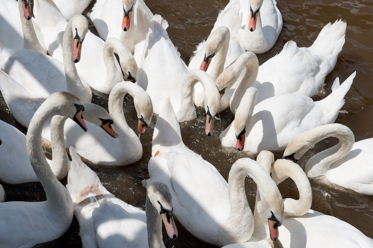 Actual Colour: River Exe Photo Walk