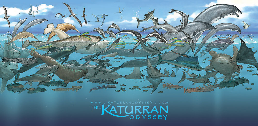 Behind the Scenes at Stuart Ng Books: Horse Show 2015 -- Terryl ...